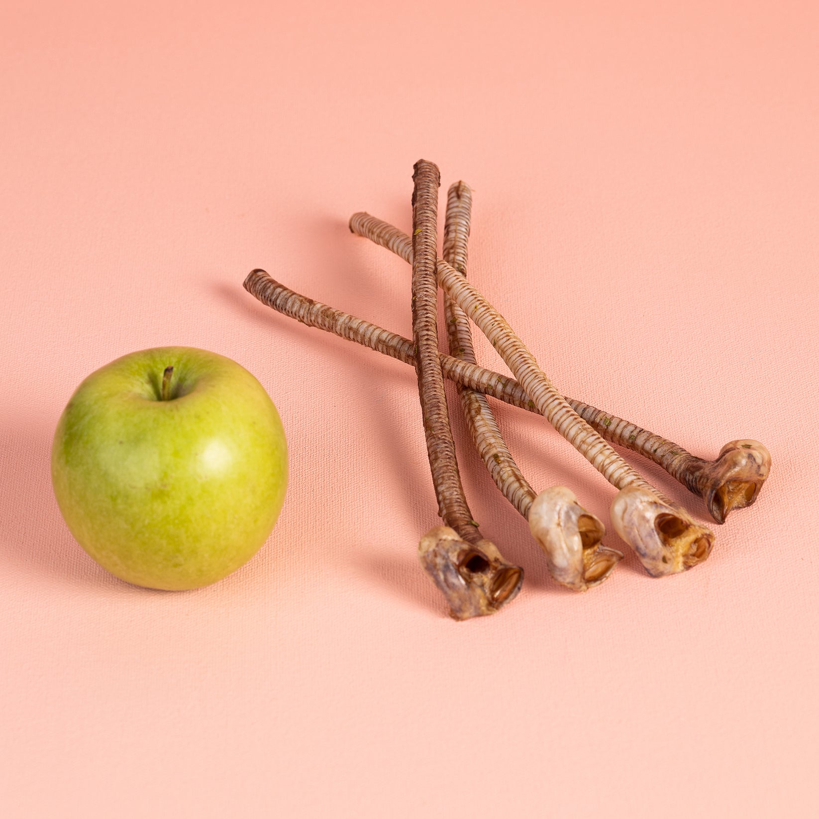 Canine Craving Dehydrated Duck Trachea - 5 pcs