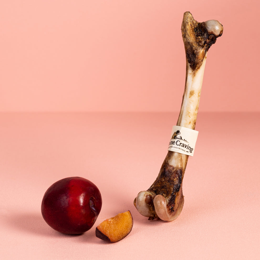 Canine Craving Dehydrated Meatless Lamb Bone - 1 pc