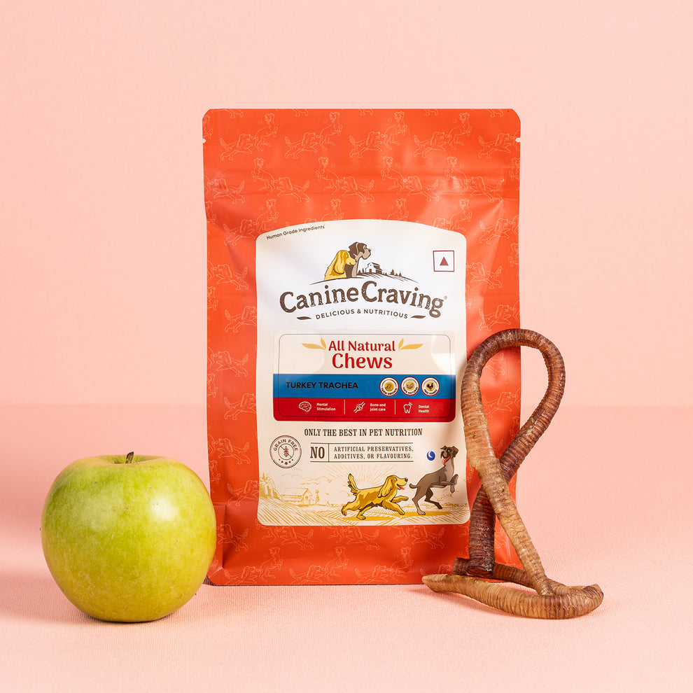 Canine Craving Dehydrated Turkey Trachea - 2 pcs